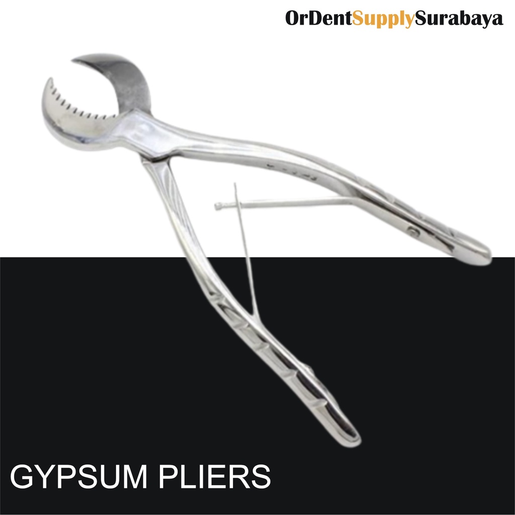 Jual Tang potong gips / Dental Tang Plaster Lab Gigi / Tang Gypsum 20cm ...