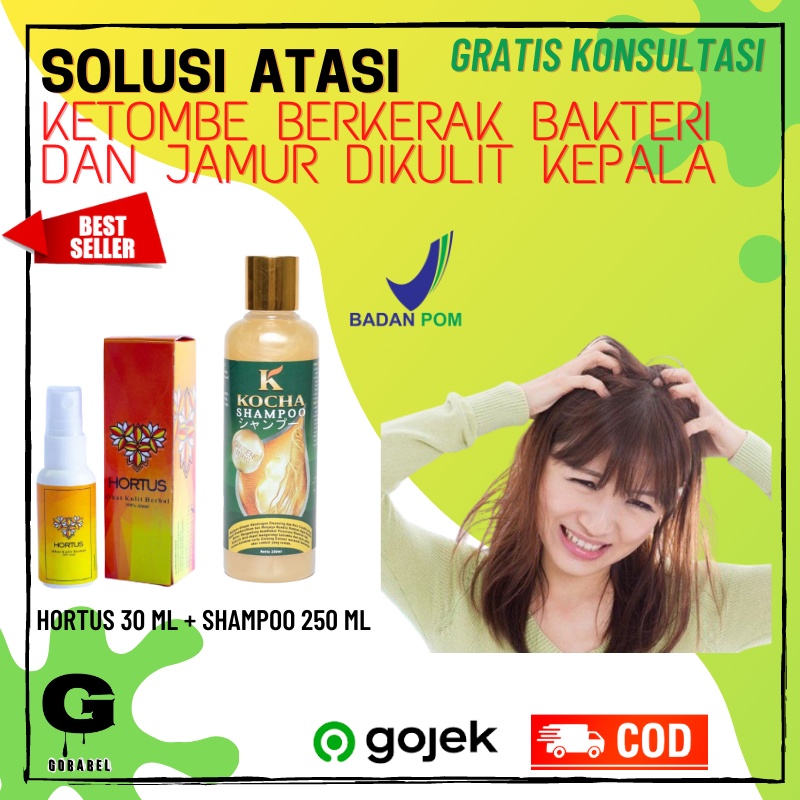 Jual Kocha Shampoo Obat Vitamin Penghilang Ketombe Berkerak Parah Dan Rontok BPOM Perawatan ...