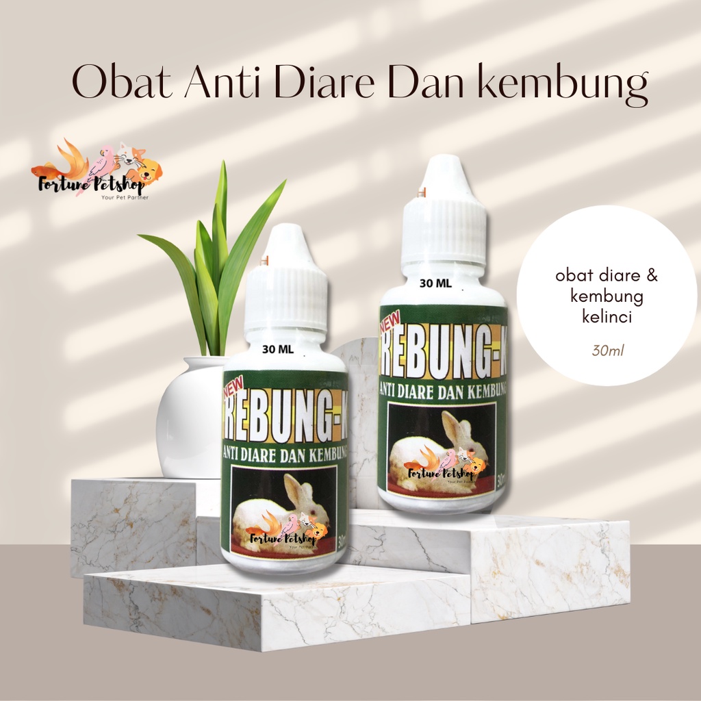Jual REBUNG 30Ml - Obat Kembung dan Mencret Pada Kelinci | Shopee Indonesia Jual REBUNG 30Ml - Obat Kembung dan Mencret Pada Kelinci | Shopee Indonesia