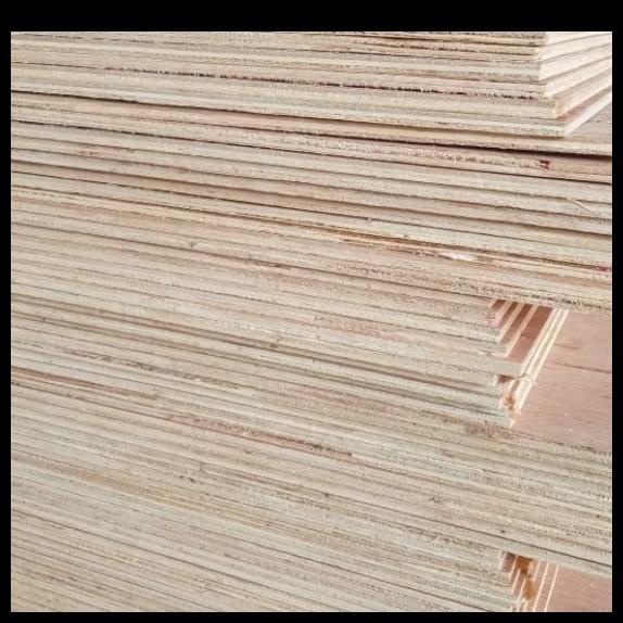 Jual Triplek 8Mm Untuk Cor Proyek (Uty Albasia) | Shopee Indonesia