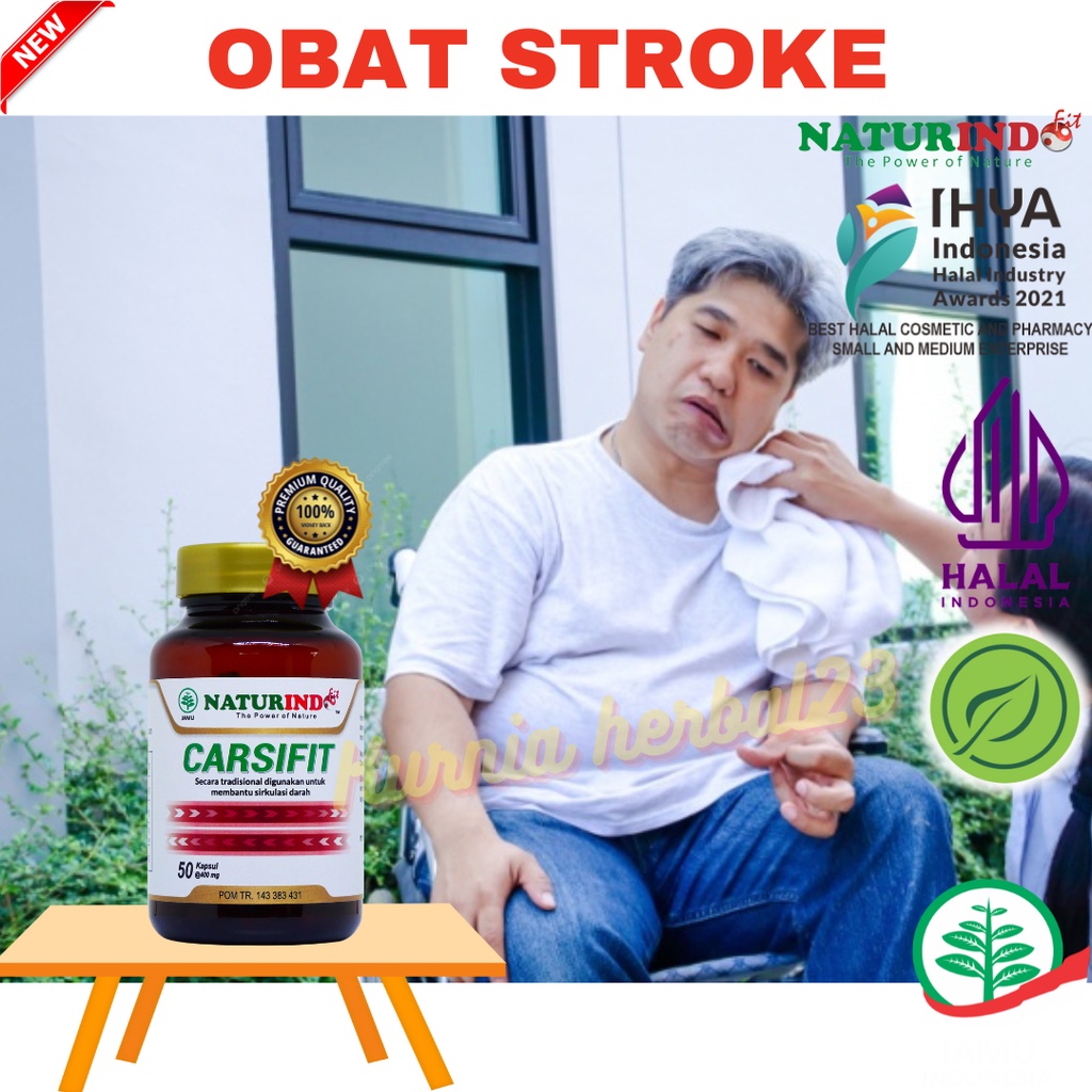 Jual Obat Stroke Ampuh Herbal Struke Stroke Ringan Berat Paling Ampuh ...