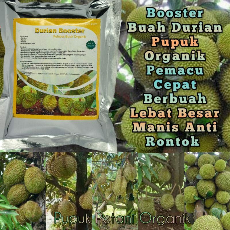 Jual Pupuk Organik Pelebat Buah Dan Booster Durian Cepat Berbuah Lebat | Shopee Indonesia