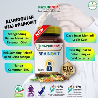 Jual Herbal NATURINDO BRAINOVIT Obat Nutrisi Otak Anak & Dewasa 100% ...