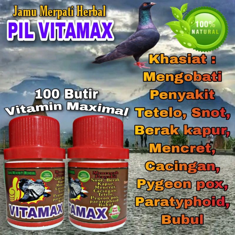 Jual JAMU MERPATI TETELO ISI 100 BUTIR PALING AMPUHpil edan merpati ...