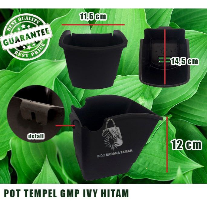 Jual POT TEMPEL IVY GMP HITAM Pot Dinding Pot Vertical Garden Pot ...