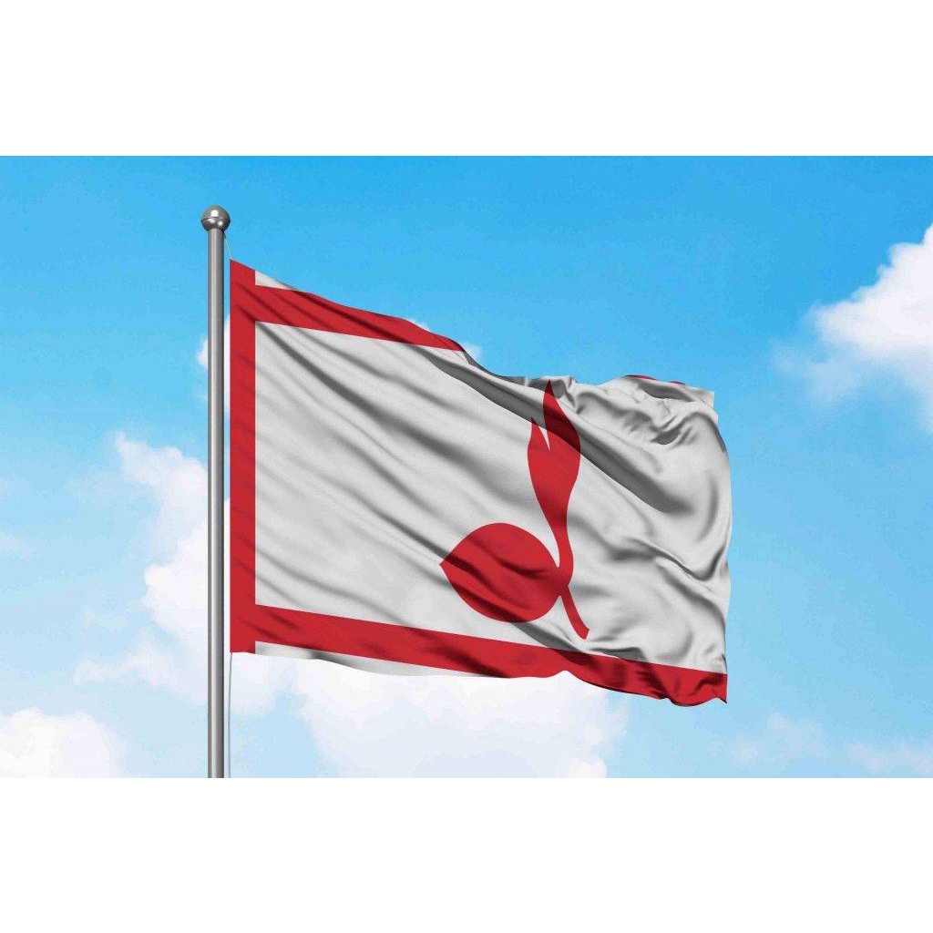 Jual Bendera Pramuka tunas kelapa Berkualitas berbagai ukuran | Shopee ...