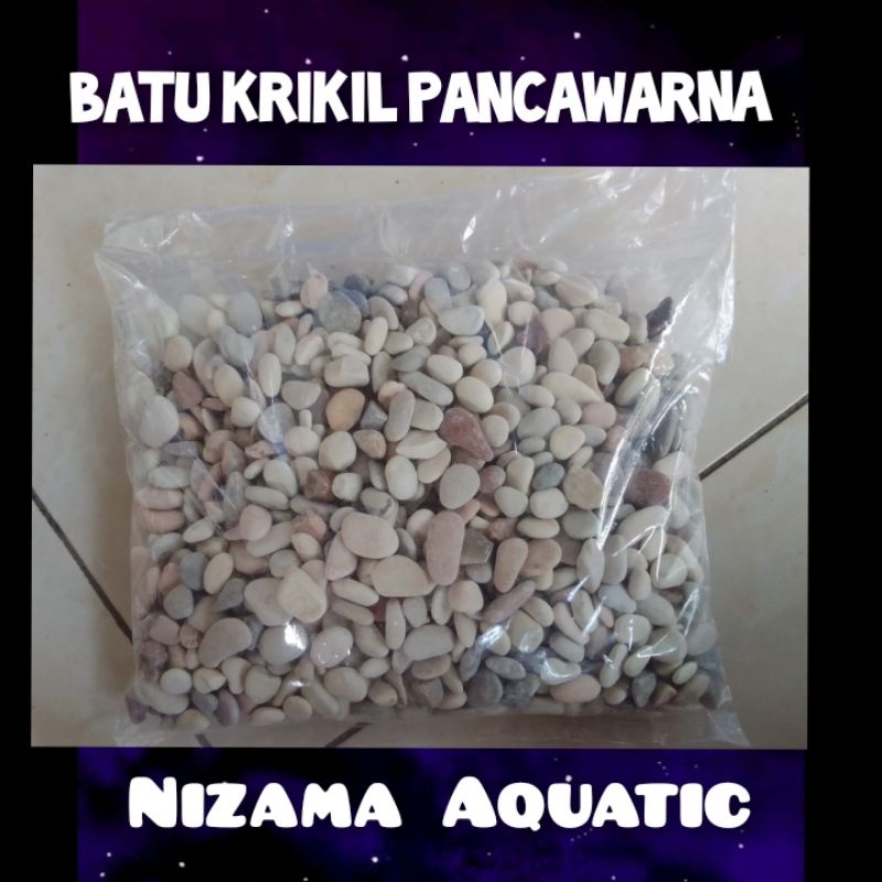 Jual Batu pancawarna 1kg/Batu hias dekor hias aquarium/Batu coral pancawarna/Batu krikil ...