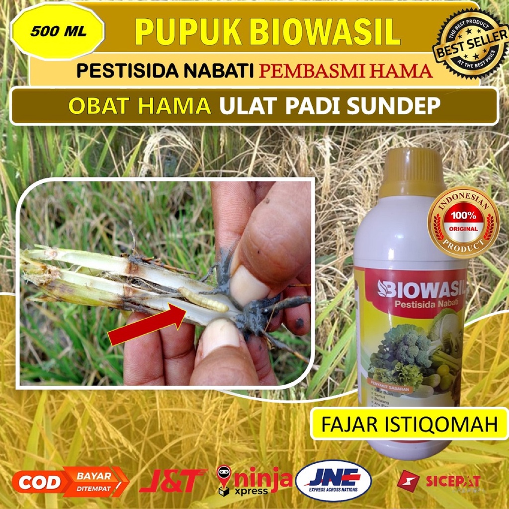 Jual PUPUK BIOWASIL isi 500 ML OBAT HAMA ULAT PADI SUNDEP BELUK - Obat ...