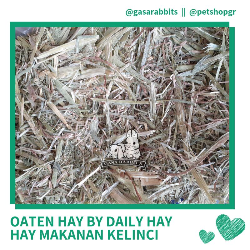 Jual OATEN HAY 1 KG - HAY KELINCI - DAILY HAY KELINCI - MAKANAN KELINCI ...