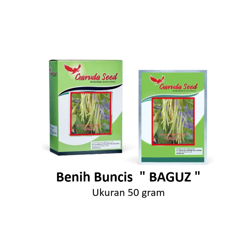 Jual Benih Buncis BAGUZ Biji Putih 50 Gram - Bibit Sayur Bagus Kemasan ...