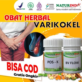 Jual Obat Varikokel Buah Zakar Bengkak Nyeri Testis Turun Berok Hernia ...