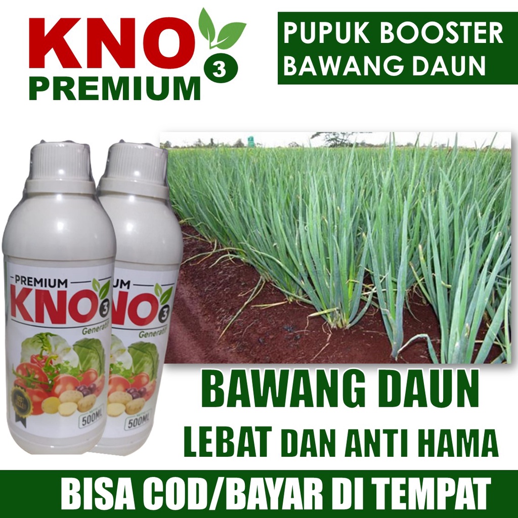 Jual Pupuk Bawang Daun Terbaik Pupuk Organik Khusus Bawang Pupuk Pembesar Daun Bawang Pupuk ...