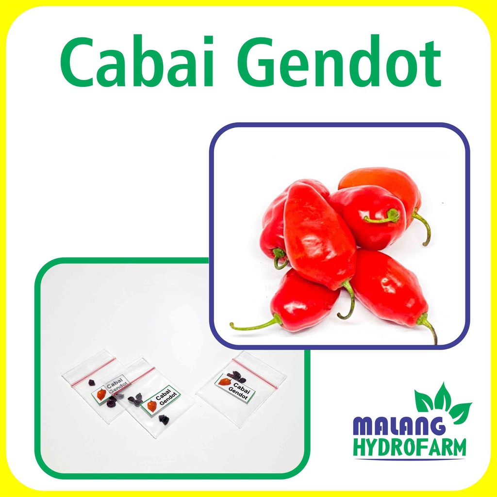 Jual Benih Cabai Gendot Unggulan Berkualitas Biji Bibit repack cabe ...