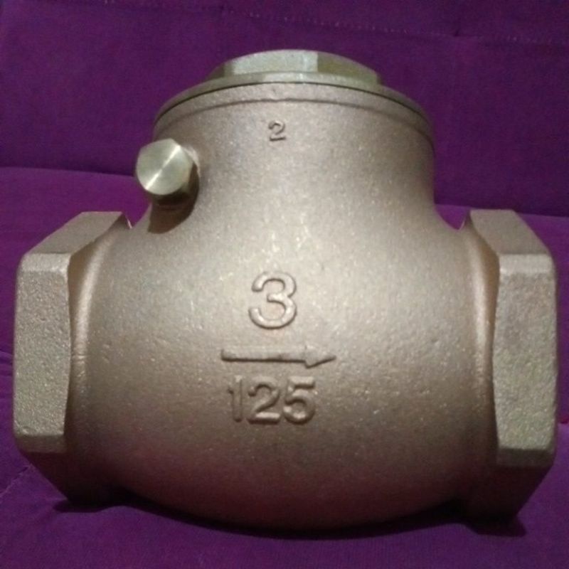 Jual CHECK VALVE "KITZ" 3inch,SWING CHECK VALVE | Shopee Indonesia