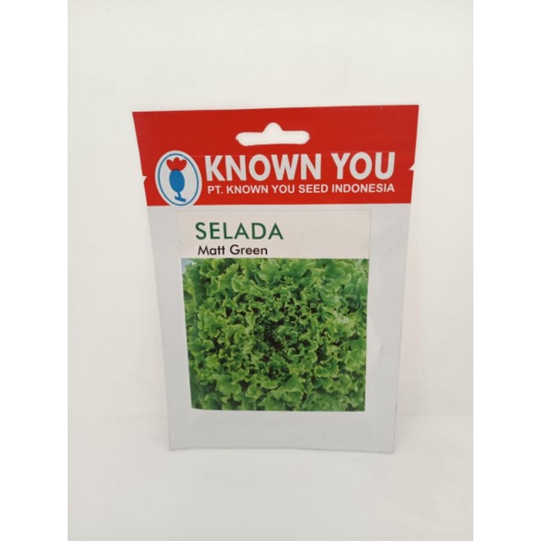 Jual Benih bibit selada hijau keriting FION GREEN know you seed 5gr ...