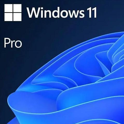 Jual MICROSOFT WINDOWS 11 PRO LICENSE | Shopee Indonesia