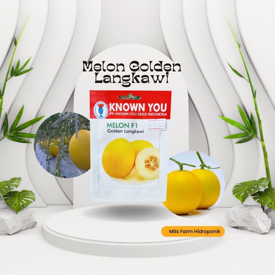 Jual Benih Bibit Melon Kuning Golden Langkawi - Known You Seed | Shopee ...