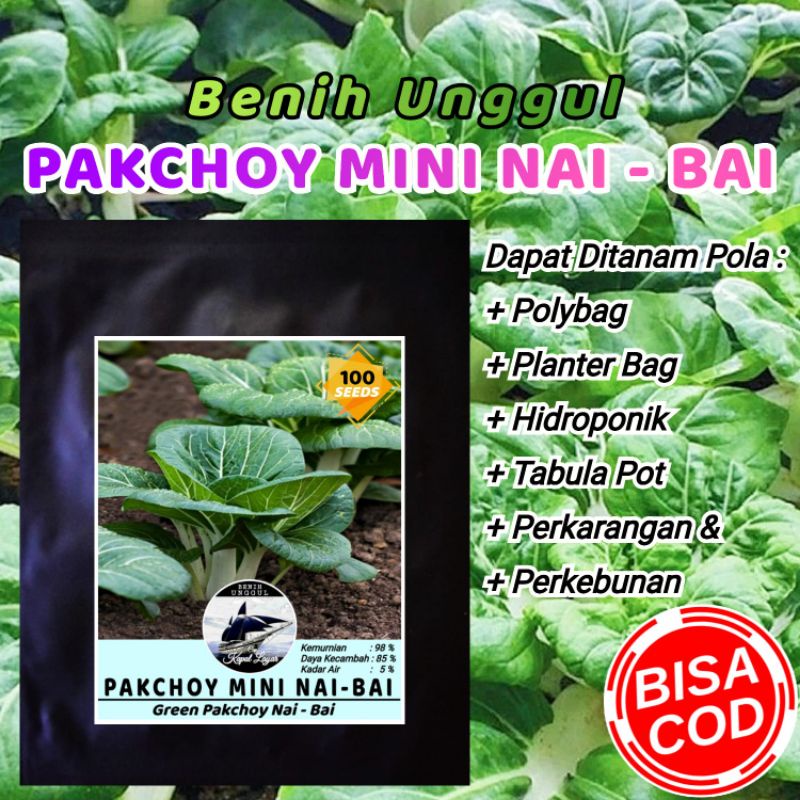 Jual BENIH PAKCHOY MINI NAI - BAI UNGGUL | Shopee Indonesia
