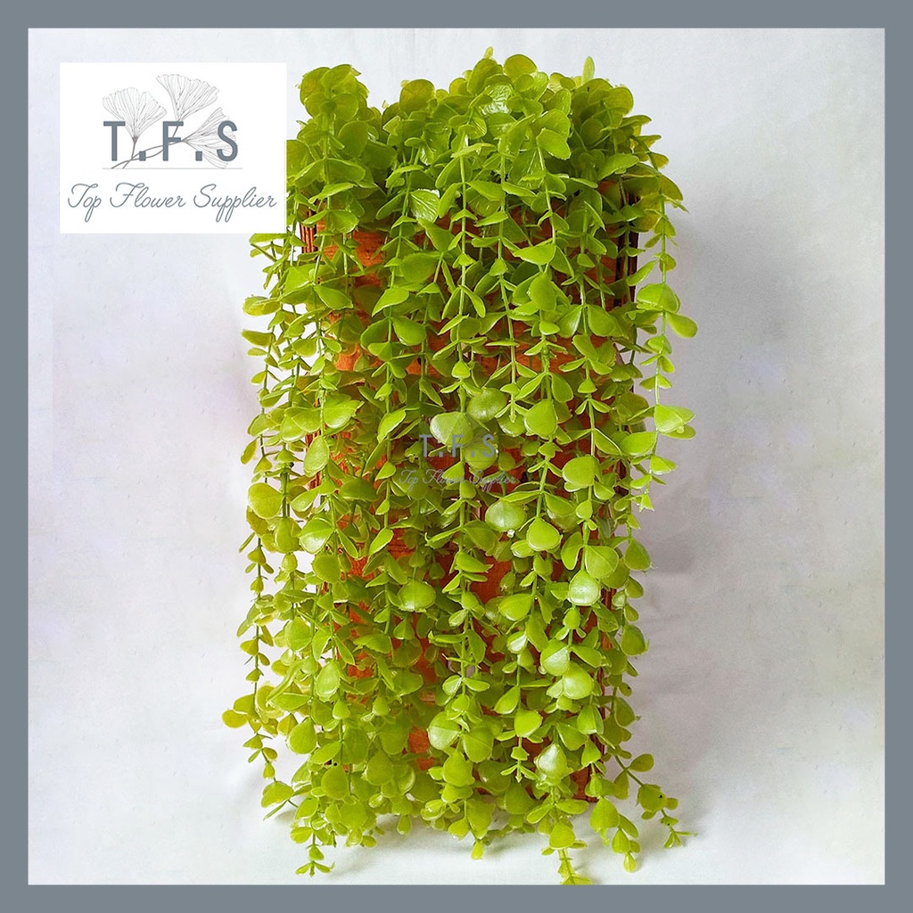 Jual Bunga Daun Large Eucalyptus Garland Leaf Bunga Plastik Bunga Palsu ...