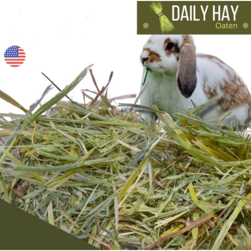 Jual rumput timothy hay / daily oaten hay / makanan kelinci turtle ...