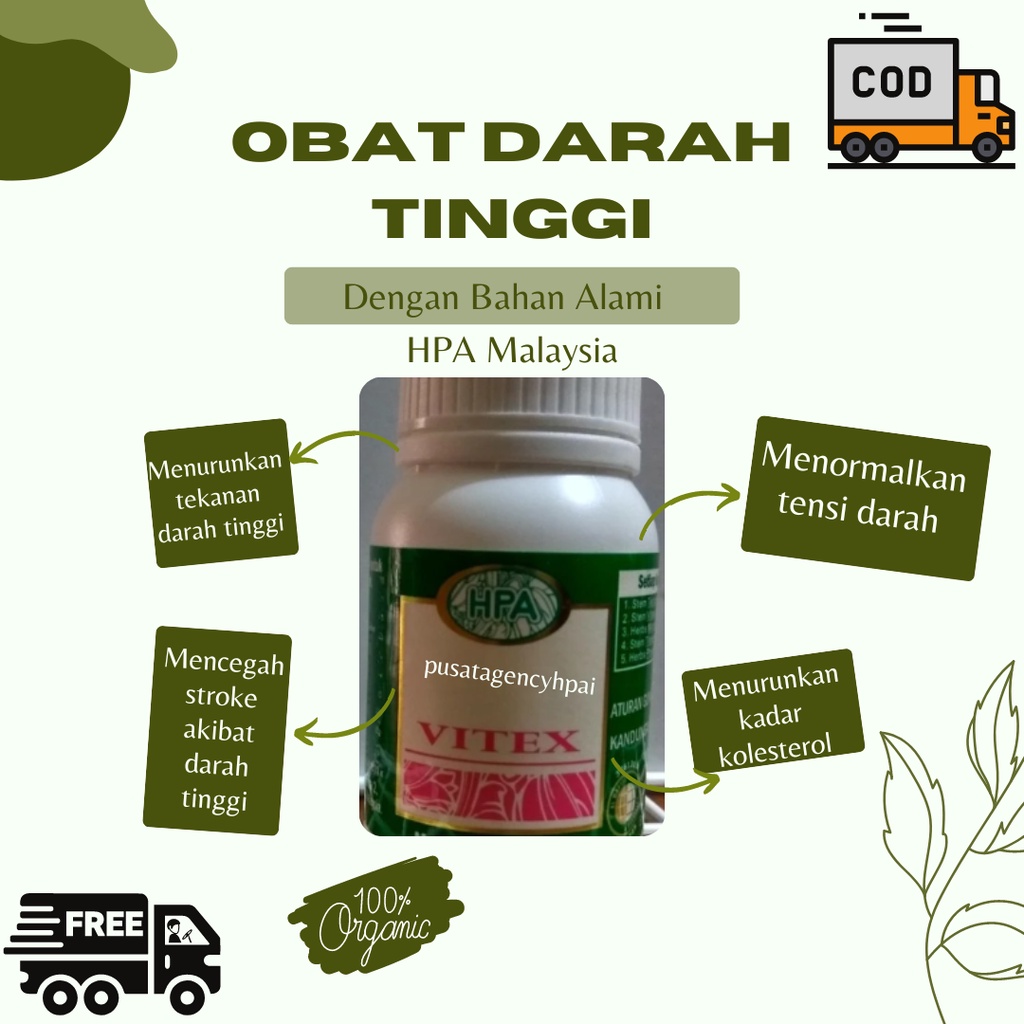 Jual OBAT DARAH TINGGI HIPERTENSI & KOLESTEROL | 100% HERBAL | VITEX ...