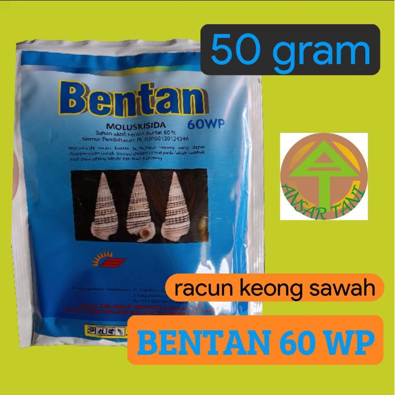 Jual BENTAN 60 WP, 50 gram, racun keong pada tanaman padi sawah ...