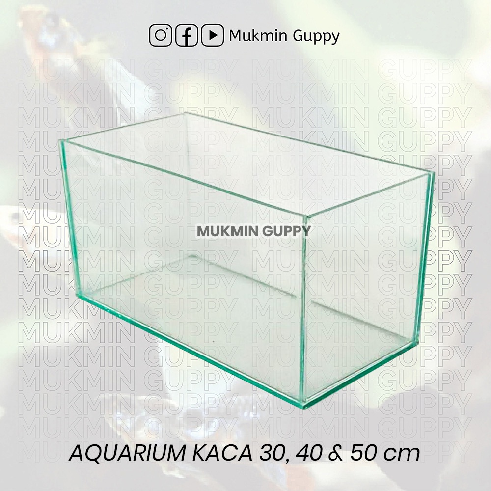Jual Aquarium Kaca Ukuran 30, 40 dan 50 cm | Shopee Indonesia