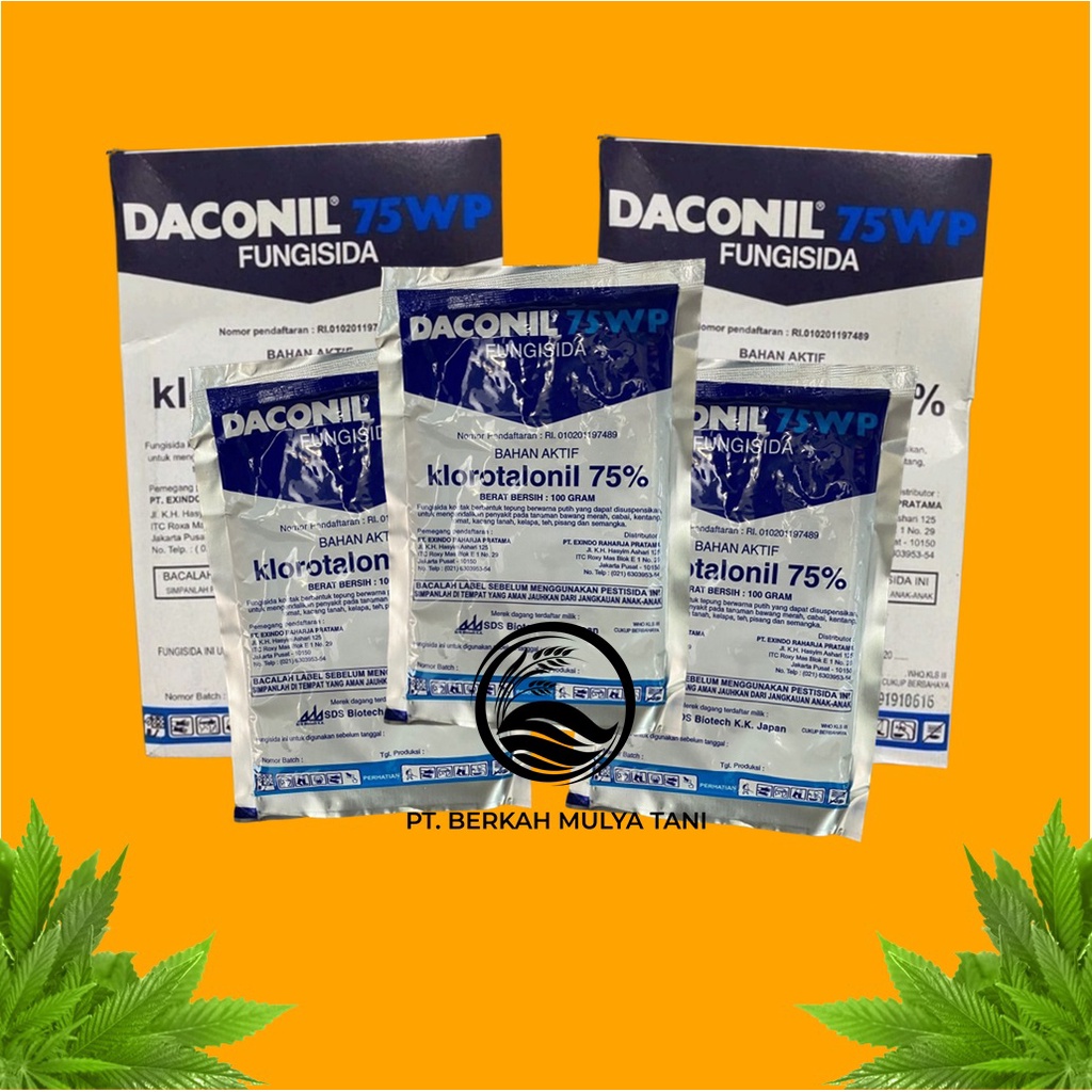 Jual Fungisida Daconil 75 WP Original 500 Gram Untuk mengatasi Bercak ...