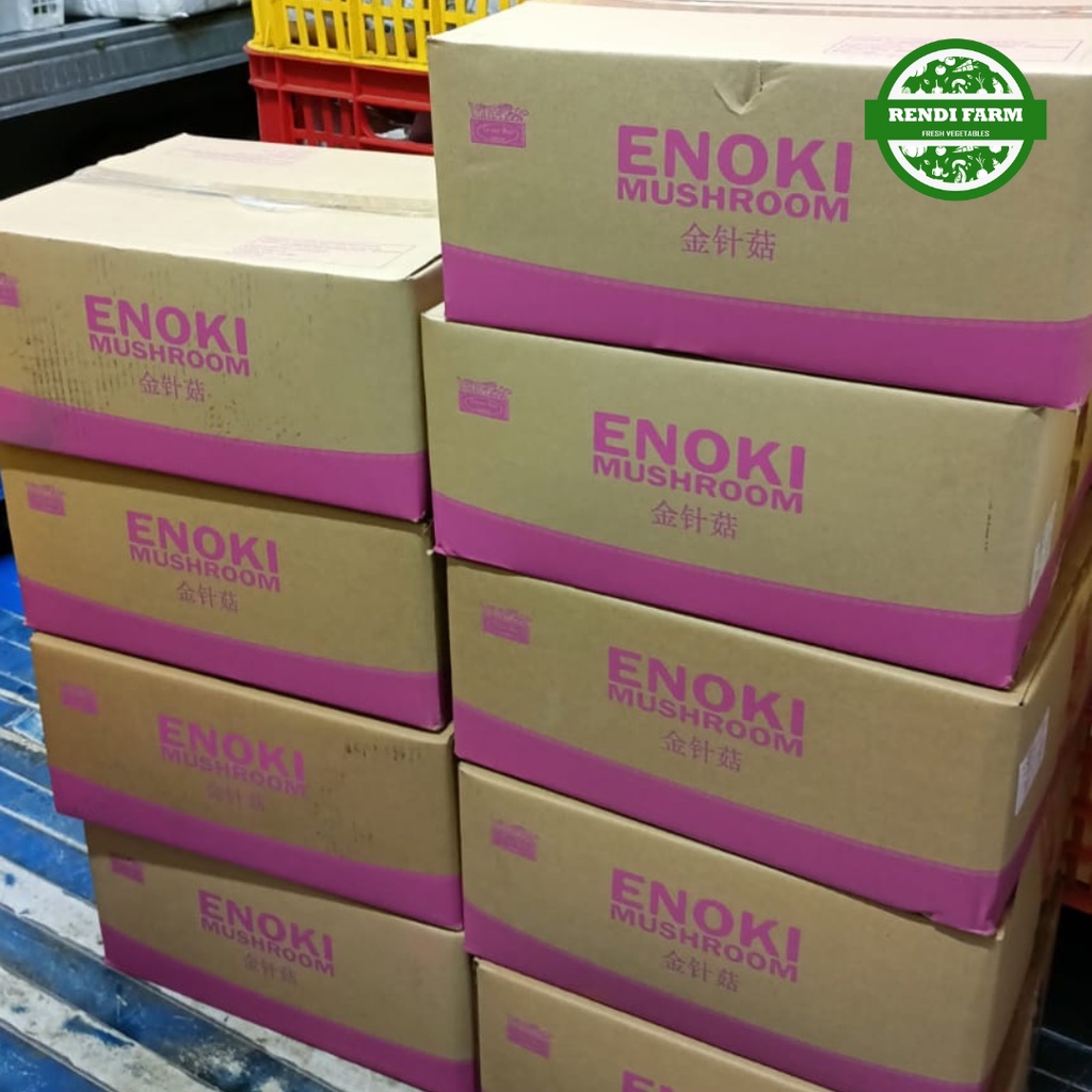 Jual Jamur Enoki 1 dus isi 50 pcs Khusus Wilayah Jawa Timur | Shopee ...