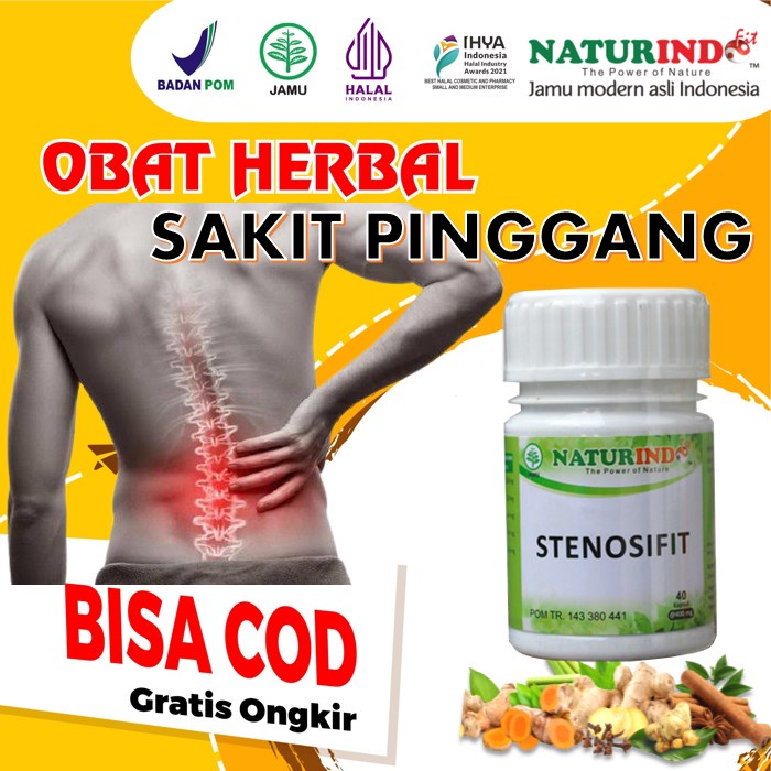 Jual Obat Herbal Sakit Pinggang Syaraf Saraf Kejepit terjepit Obat ...