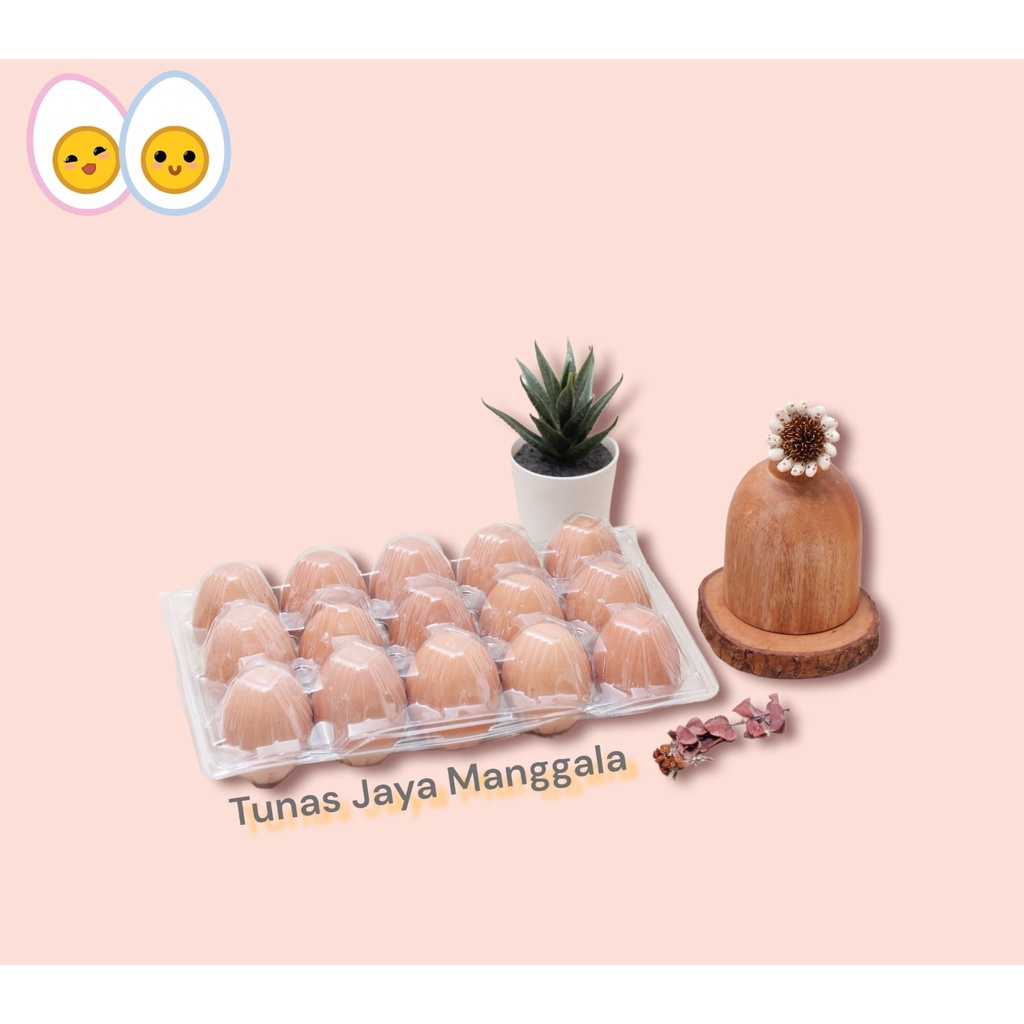 Jual Mika telur ayam negeri 15 lubang tanpa kunci gelombang | Shopee ...