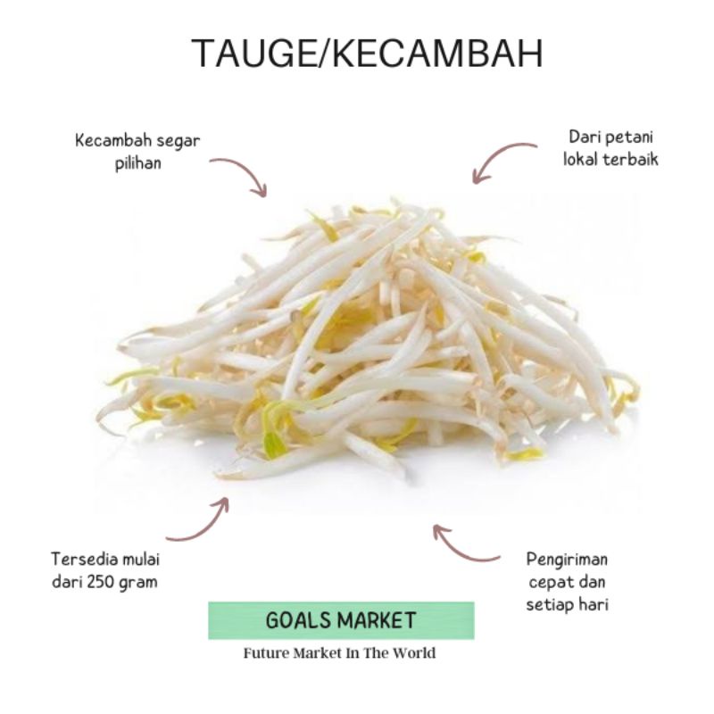 Jual Tauge Taoge Kecambah Panjang 250 gram - 1 kg Cambah Segar | Shopee ...