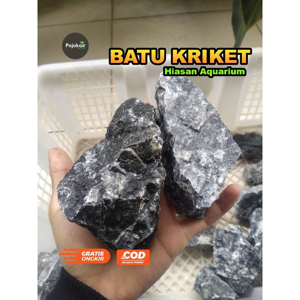 Jual Hiasan Aquarium Batu Aquascape Kriket Stone 1 KG | Shopee Indonesia