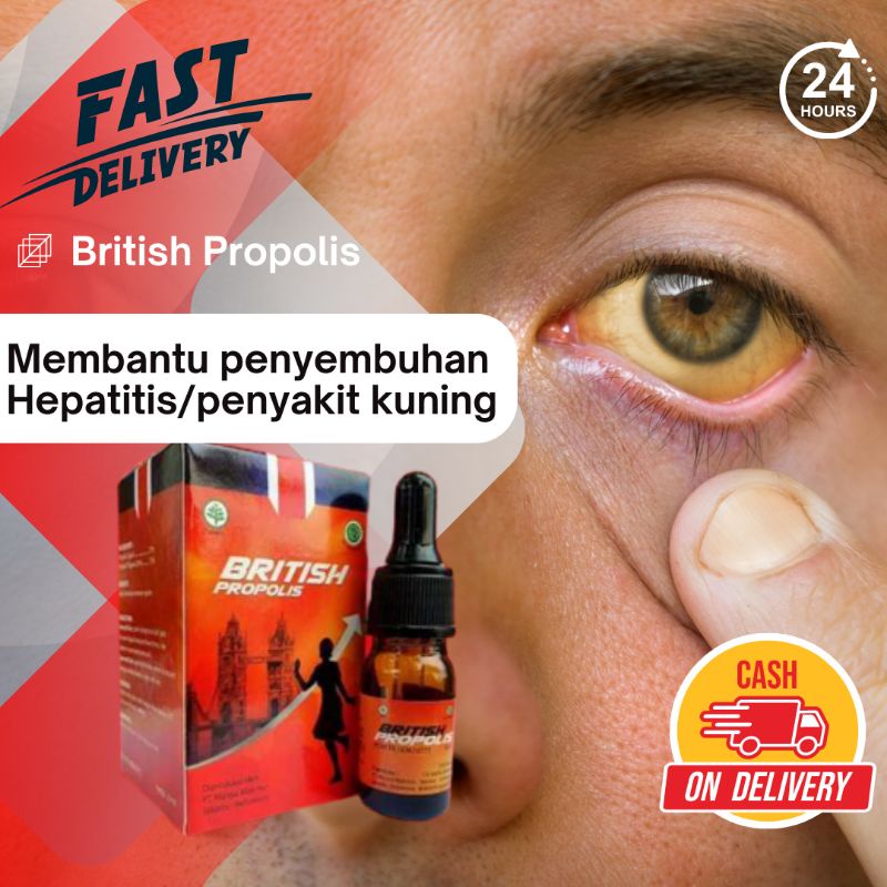 Jual British Propolis 6ml Hepatitis Dewasa Obat Liver B C Autoimun ...