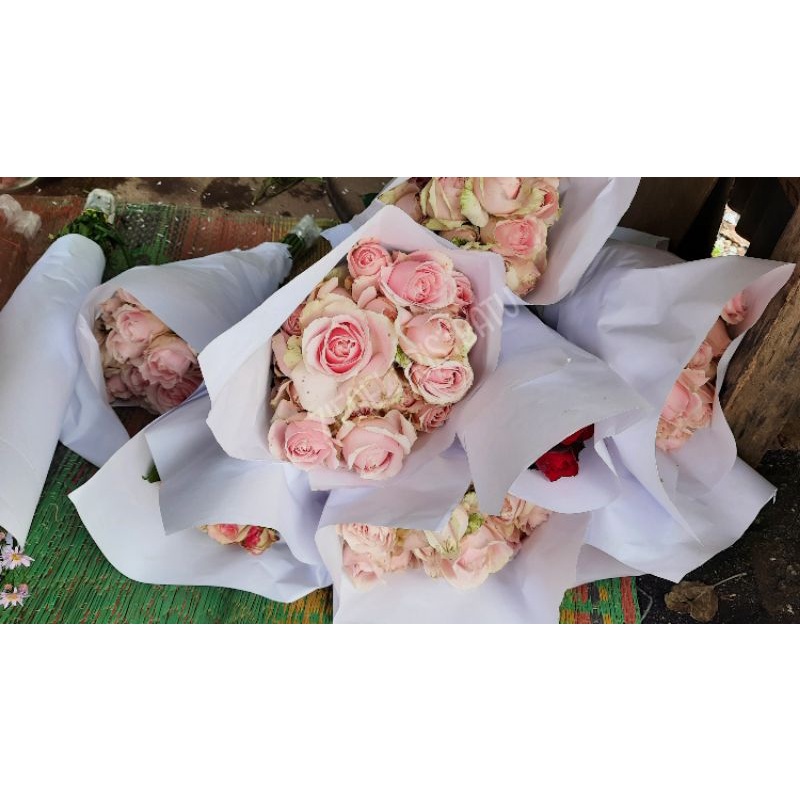 Jual Bunga mawar segar/mawar potong tangkai panjang (per ikat) | Shopee ...