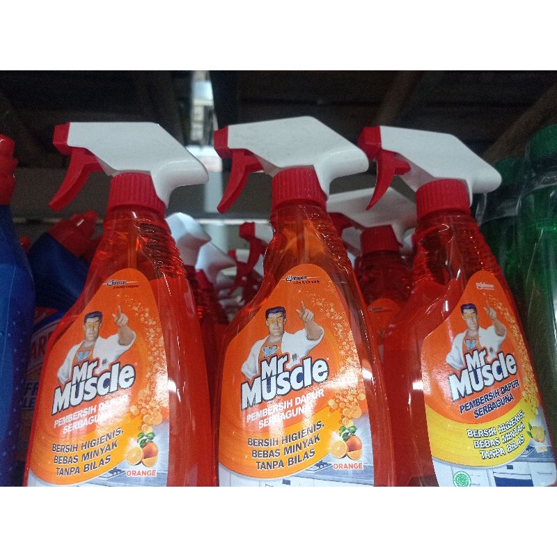 Jual MR MUSCLE PEMBERSIH DAPUR SERBA GUNA BOTOL SPRAY 500ML | Shopee ...