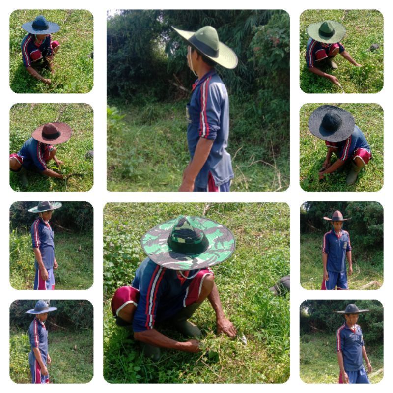 Jual topi sawah, topi petani pas untuk panas dan hujan daun lebar dan ...