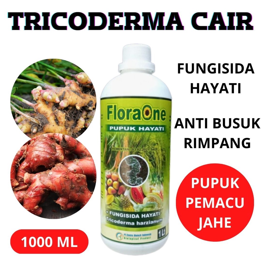 Jual Tricoderma Cair Fungisida Hayati, Pupuk Pembesar Umbi Jahe Trichoderma, Obat Busuk Rimpang ...
