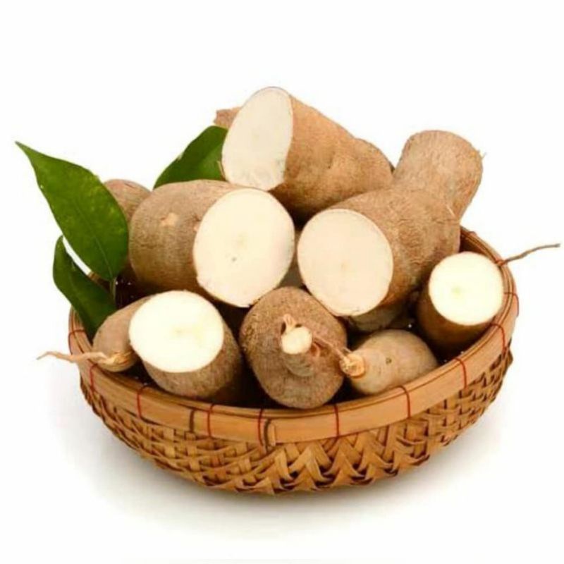 Jual Ketela Pohon Ketan // Ubi Kayu Diet (1kg) | Shopee Indonesia