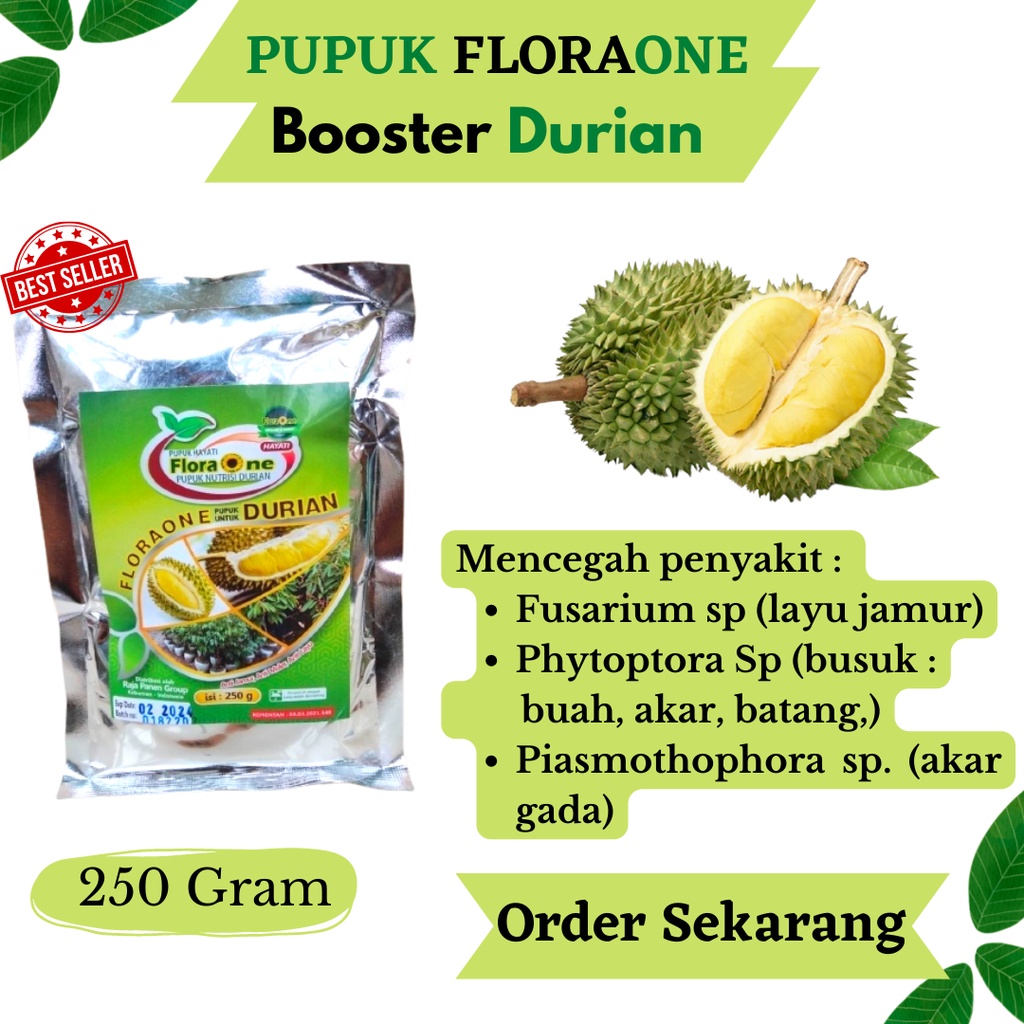 Jual Pupuk Floraone Durian 250 gram, Pupuk Durian Agar Cepat Berbuah, Pupuk Booster Durian ...