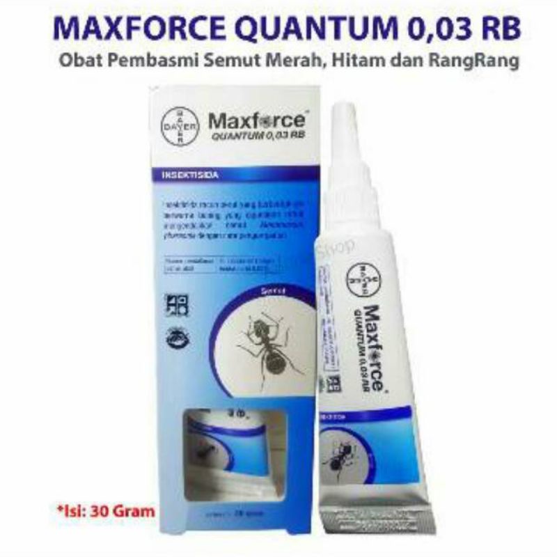 Jual Maxforce Quantum semut 30 grm | Shopee Indonesia
