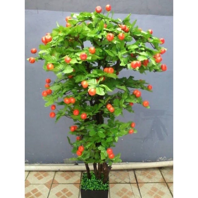 Jual BONUS GANTUNGAN ANGPAO POHON JERUK PAJANGAN CANTIK VAS PREMIUM ...