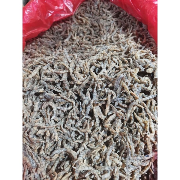 Jual IKAN PENJA/IKAN SERIBU | Shopee Indonesia