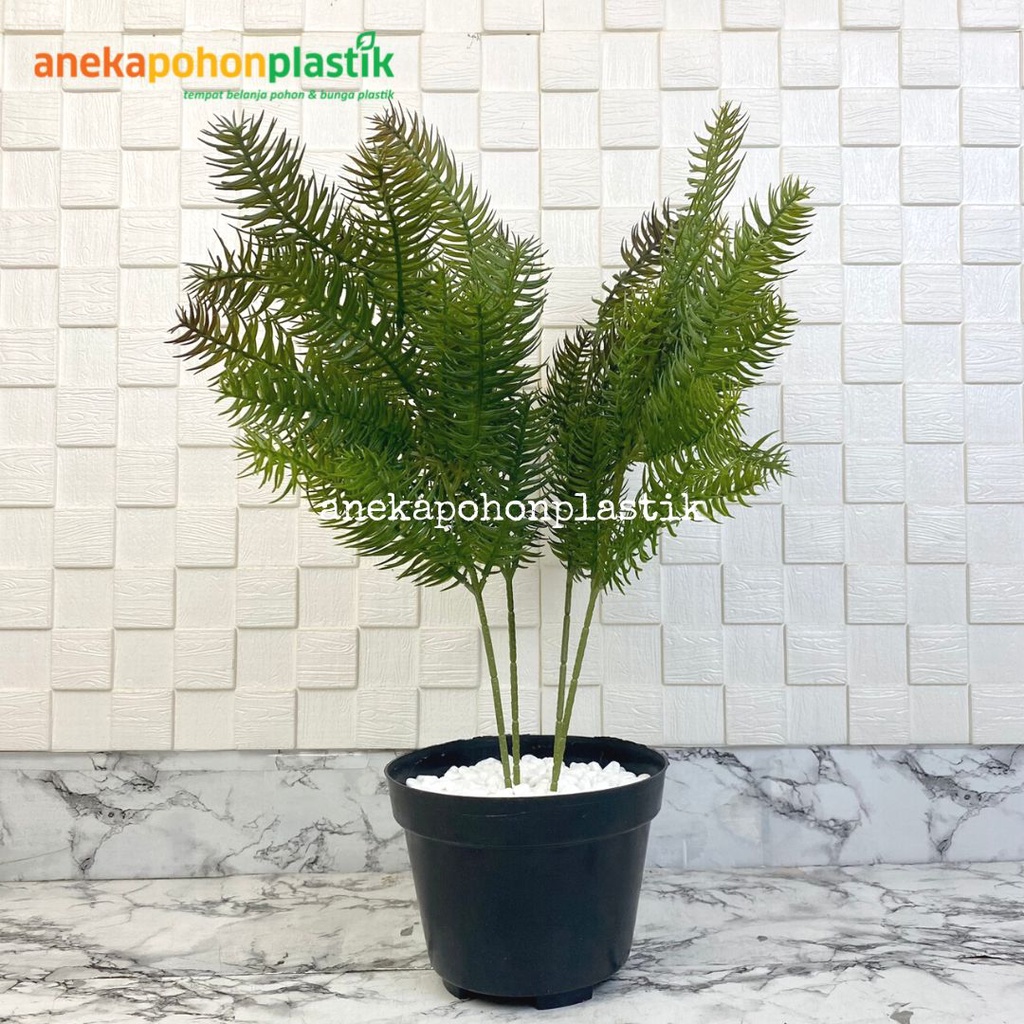 Jual Tanaman Hias Daun Pinus Cemara Tangkai X4 Latex Artificial Pot ...