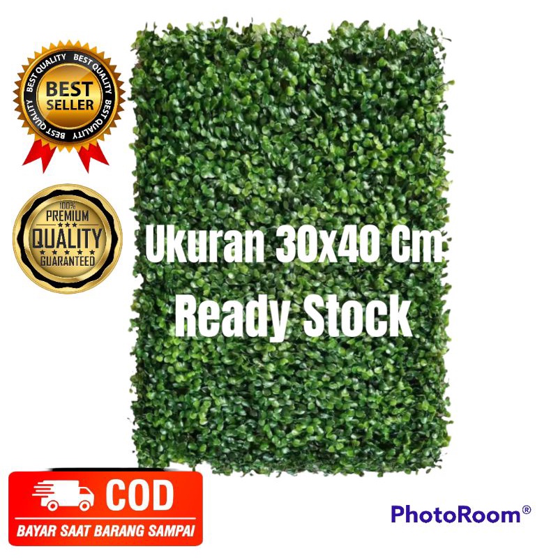 Jual DAUN DOLAR SINTETIS UKURAN 30X40 CM - TANAMAN SINTETIS - DAUN ...