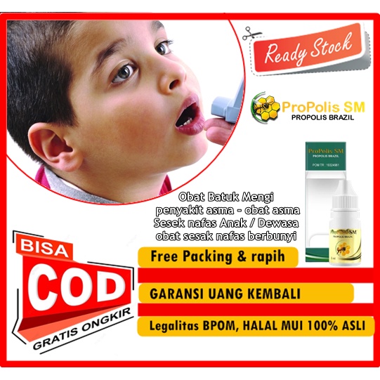 Jual Obat Batuk Mengi - penyakit asma - obat asma - Sesek nafas Anak ...