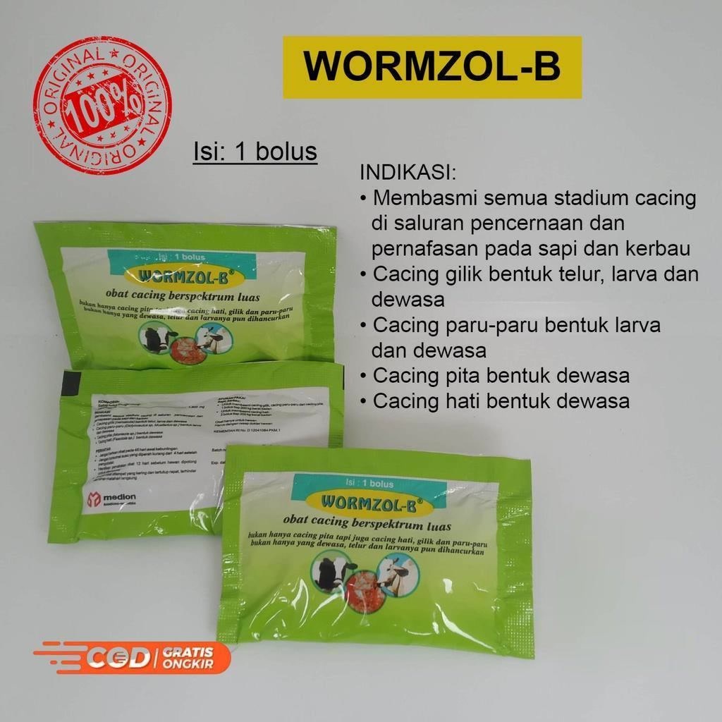 Jual Wormzol-B Obat Cacing Paling Ampuh Untuk Membasmi Cacingan Pada ...