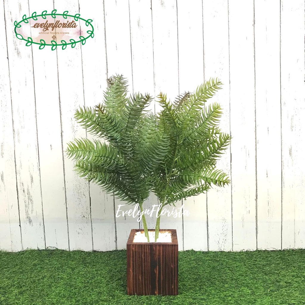 Jual Tanaman Hias Daun Pinus Cemara Tangkai X4 Latex Artificial Pot ...
