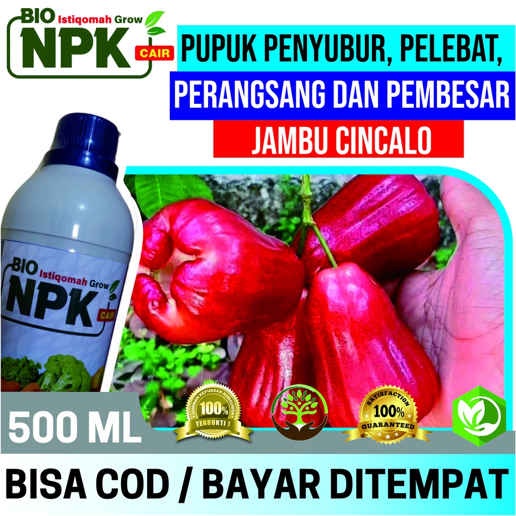 Jual ISTIQOMAH GROW Pupuk Organik Pelebat Jambu Perangsang Buah dan Booster Buah Jambu Air ...