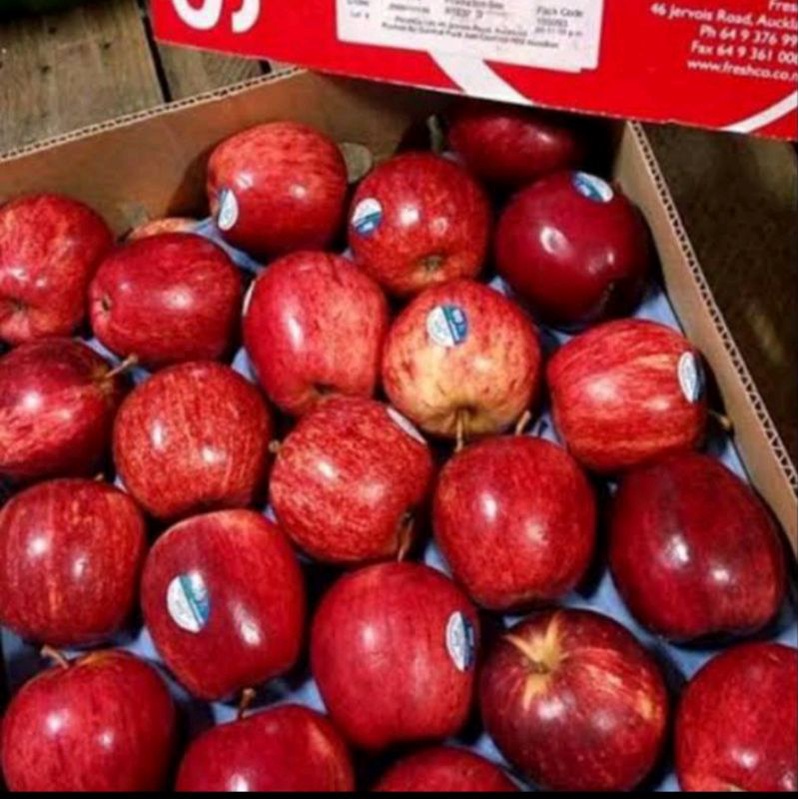 Jual APEL ROYAL GALA PREMIUM 1 KG | Shopee Indonesia
